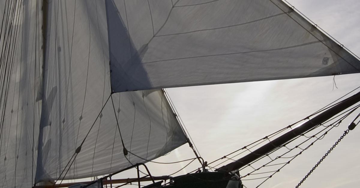 „Beluga II“ auf Info-Tour | Greenpeace