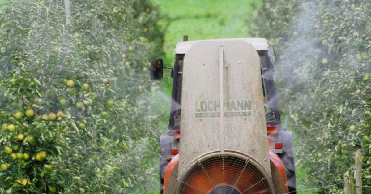 Pestizide für Kinder erklärt | Greenpeace