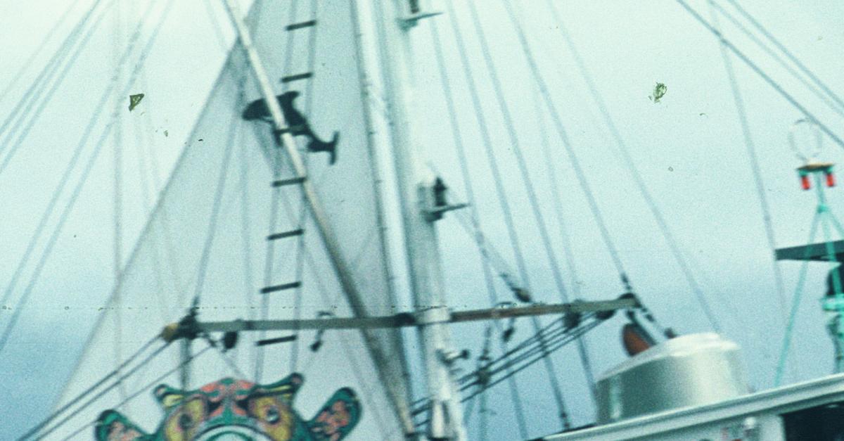 Phyllis Cormack - Schiff der ersten Stunde | Greenpeace